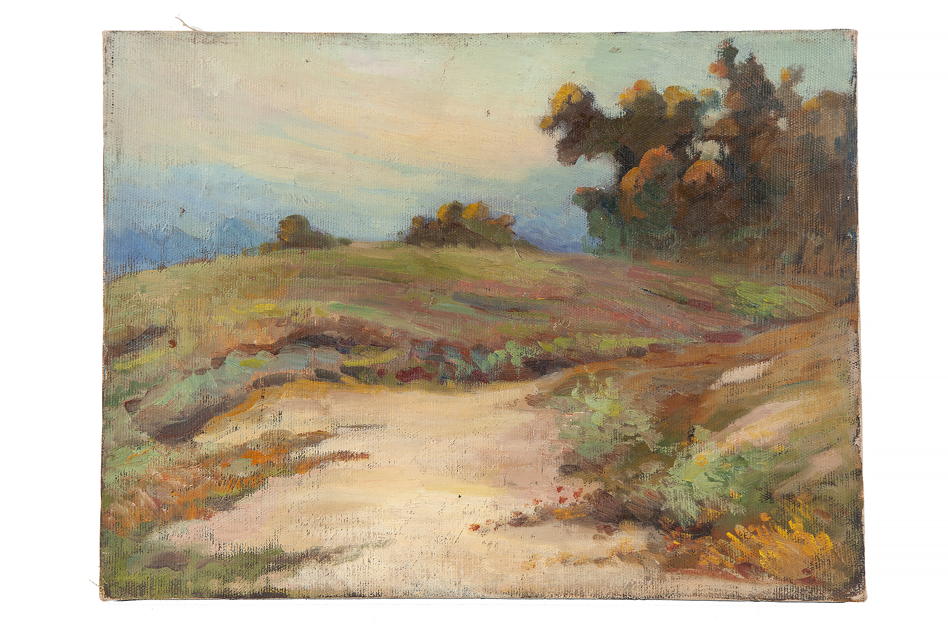 William Gerard Barry (1864-1941) Paintings of Central California Coast ...